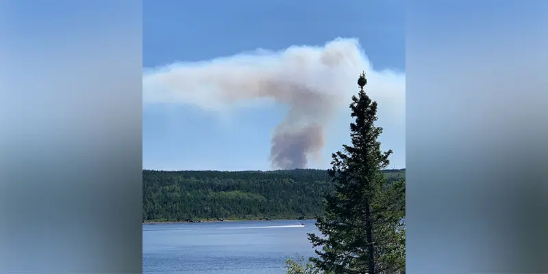 Fire Crews and Water Bombers Battle Terra Nova Forest Fire | VOCM