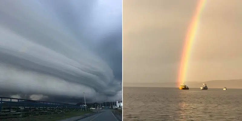 Adverse Weather Creates Picture Wonderland for Photographers | VOCM