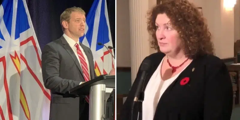 Premier Furey “Troubled” by Findings of Report Involving Gambin-Walsh ...