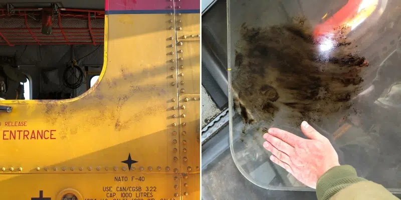 Polar Bear Causes Minor Damage to Helicopter on Labrador Stopover | VOCM