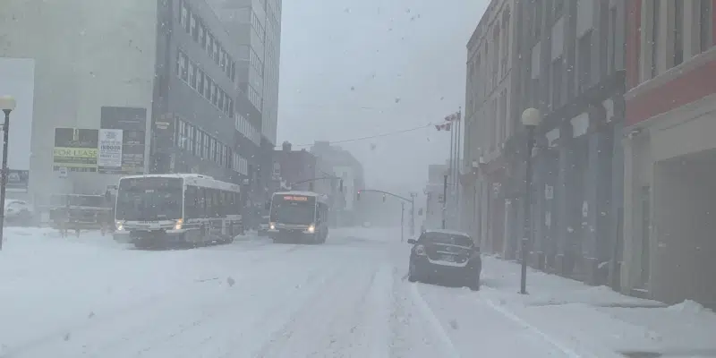 Storm Brings Mixed Bag of Weather to Much of Island | VOCM