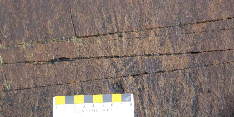 Hints of New Scientific Discoveries in NL Could Shed Light on Early ...