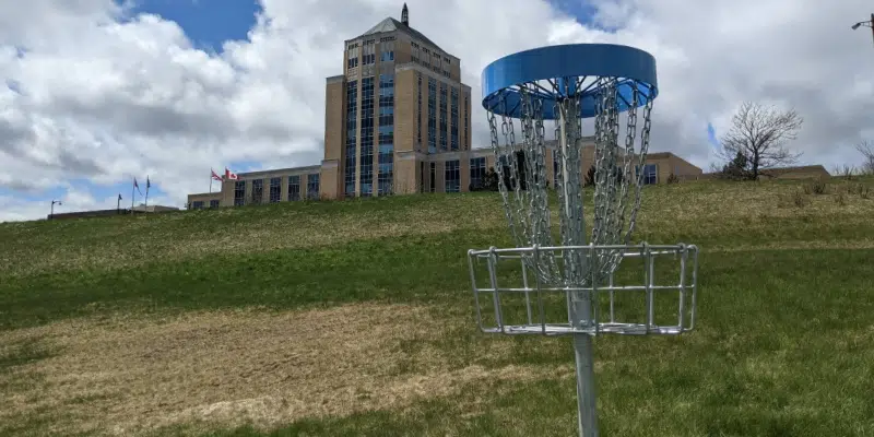 Group Sets Up First Nine-Hole Disc Golf Course in St. John’s | VOCM
