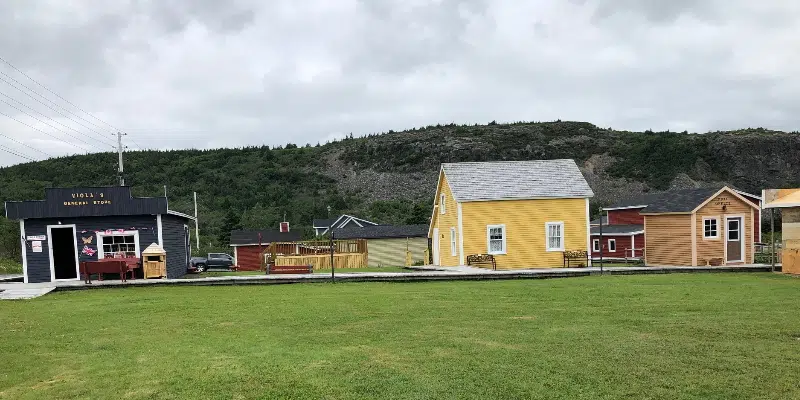 Conception Bay North Attraction Opens for First Time Since Beginning of ...