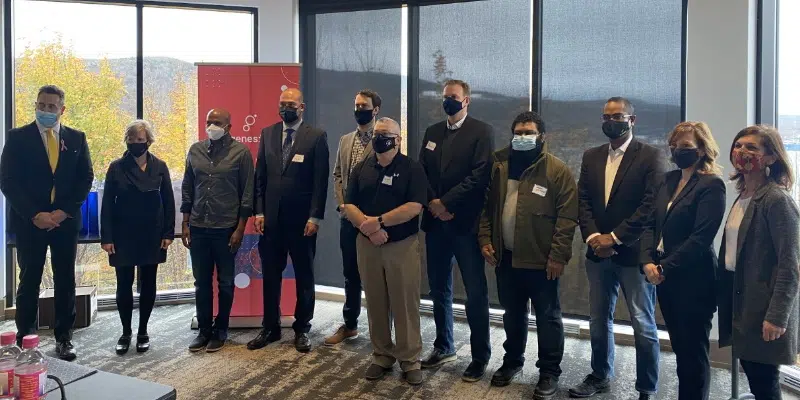 Local Tech Startups Graduate from Genesis Enterprise Program | VOCM