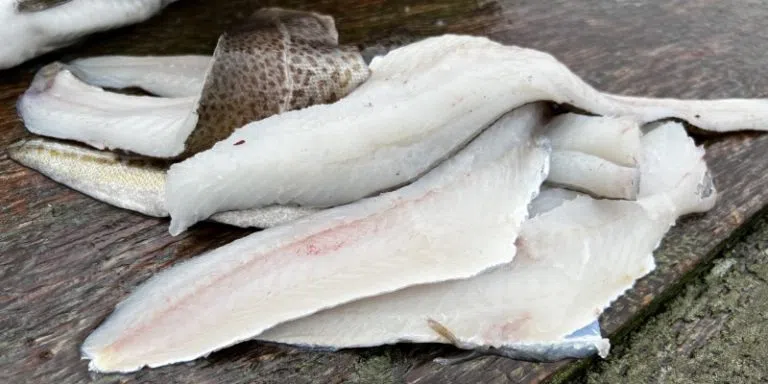 DFO Releases Recreational Food Fishery Dates | VOCM