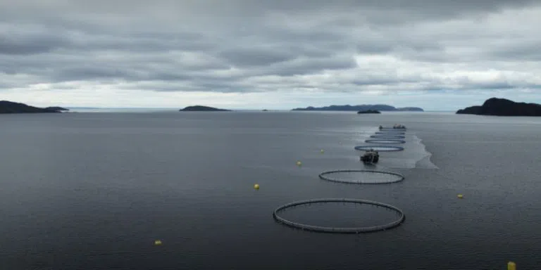 Grieg Seafood, Quinlan Brothers Reach Processing Agreement for First ...