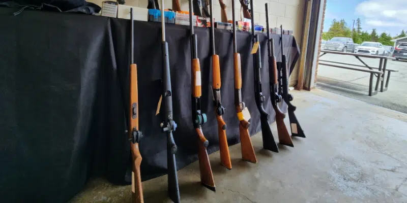 Two Charged, Over 50 Weapons Seized in Suspected Harbour Grace Firearms ...