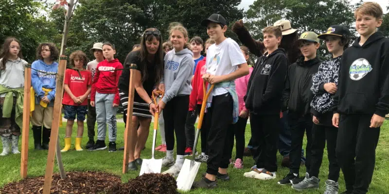 Grade 6 Students Celebrate National Tree Day in Victoria Park | VOCM
