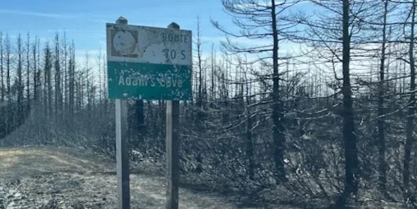 RCMP Continue Investigation into Recent Fires | VOCM