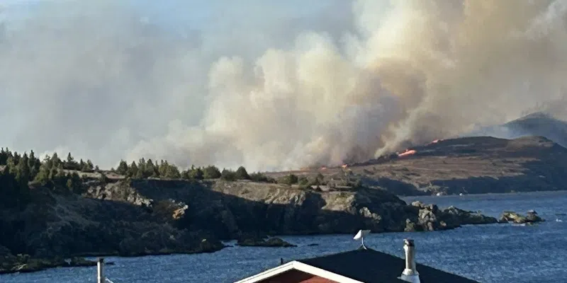 Insurance Industry Deploys Mobile Assistance for Adam’s Cove Fire | VOCM