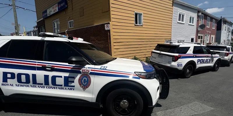 Police Respond to Animal Complaint in Downtown | VOCM