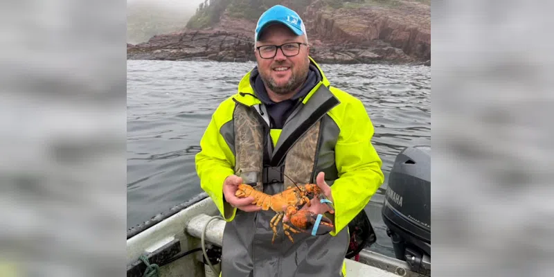 Rare Lobsters Caught by Same Fisherman off Newfoundland Coast | VOCM