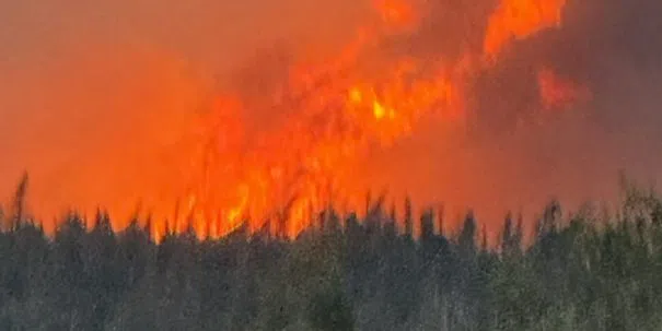 No New Evacuation Advisories; Off-Road Vehicle Use Banned in Forested ...