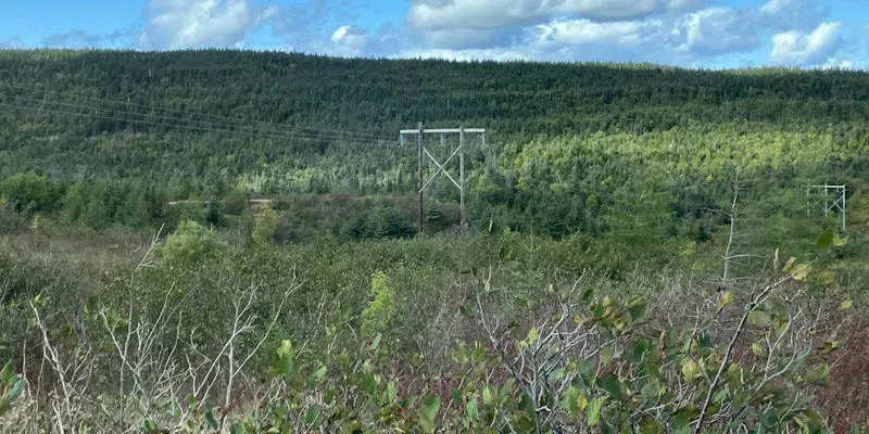 Missing Man Found Safe After Unexpected Night in the Woods | VOCM