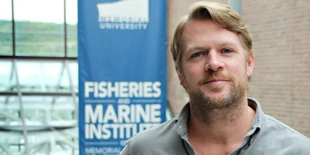 New Research Shows Harp Seals Consume More Northern Cod Than are ...