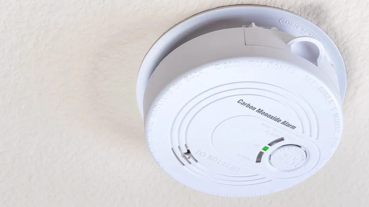 11-Year-Old Boy from Newfoundland Dies of Carbon Monoxide Poisoning in ...