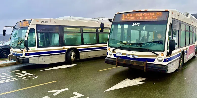 Metrobus Makes Changes to Routes to Accommodate Increased Ridership ...