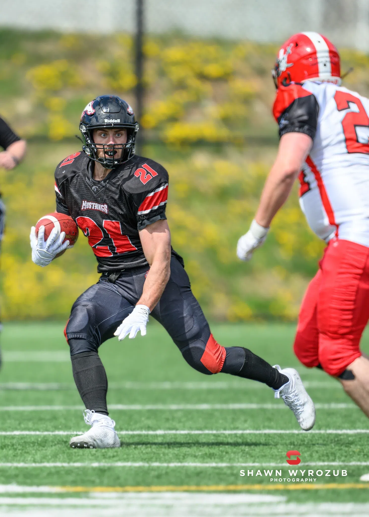 Moncton Mustangs Start New Streak | Q103 - Moncton's Rock Station