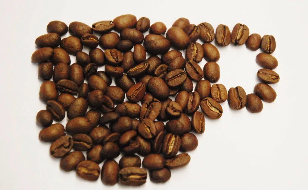 CEO working as a barista, Plastic of Fruit Roll Up, AI in Canva | LiVE ...