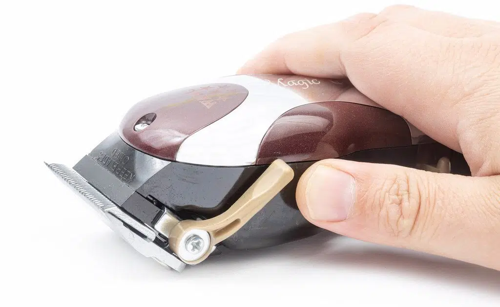 Premier Ford Haircut, Nasty smell in Senate, 3D printed cheesecake ...