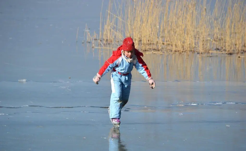 Giant Backyard Luge, Parade Cancelled, Trepassing to skate | LiVE 88.5 ...